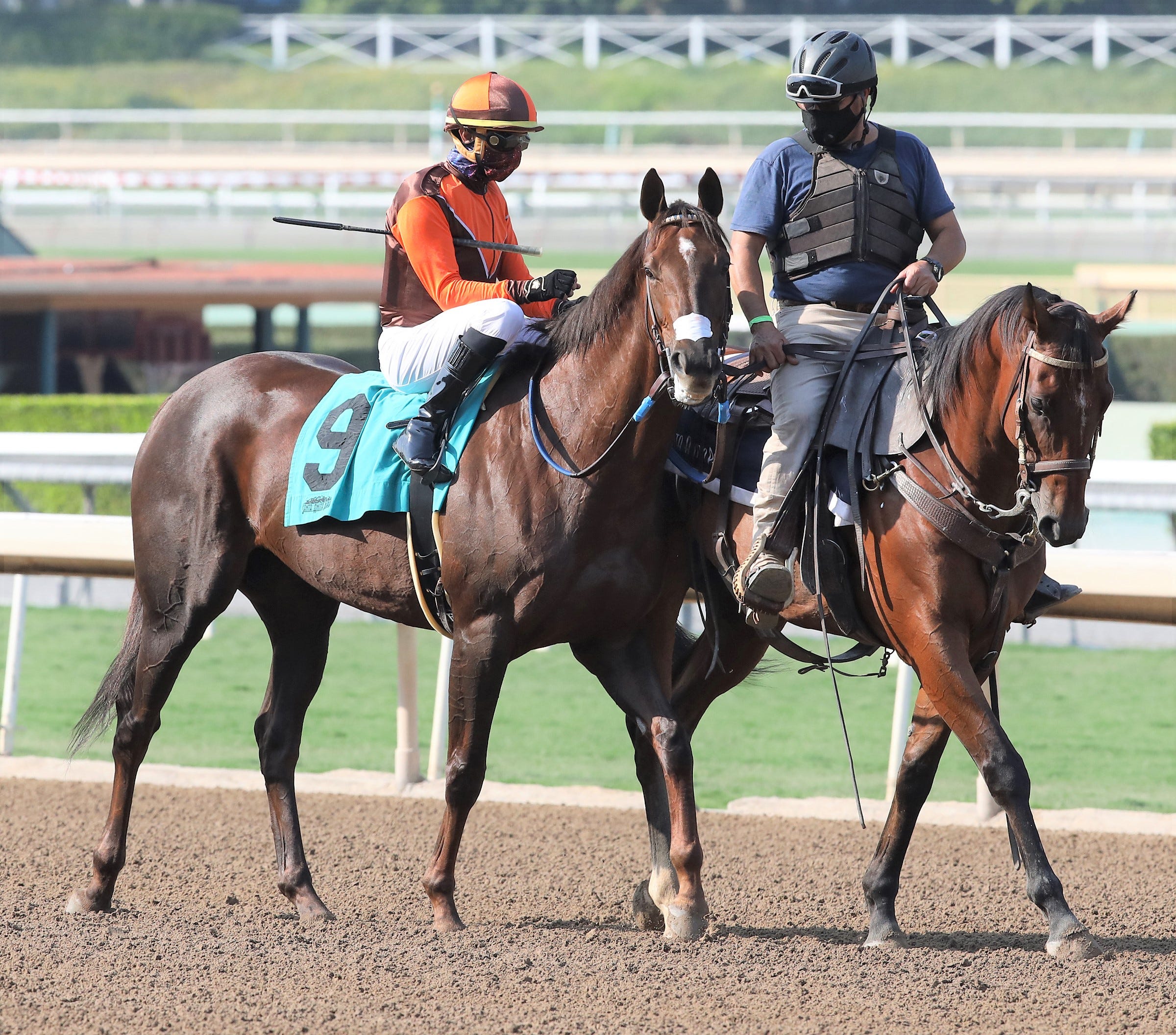Shes'a Perfectlady will be taken back in turf sprint